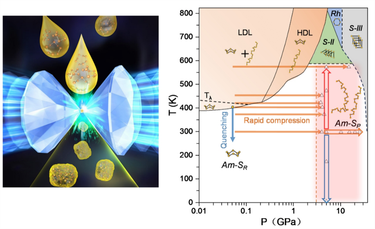 The fast compression of sulfur in diamond anvil cell leads to a novel ...